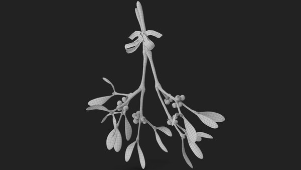 3D Mistletoe with White Bow 2 model - TurboSquid 1807364