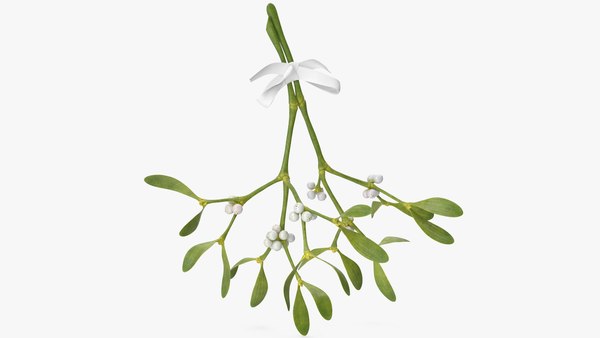 3D Mistletoe with White Bow 2 model - TurboSquid 1807364