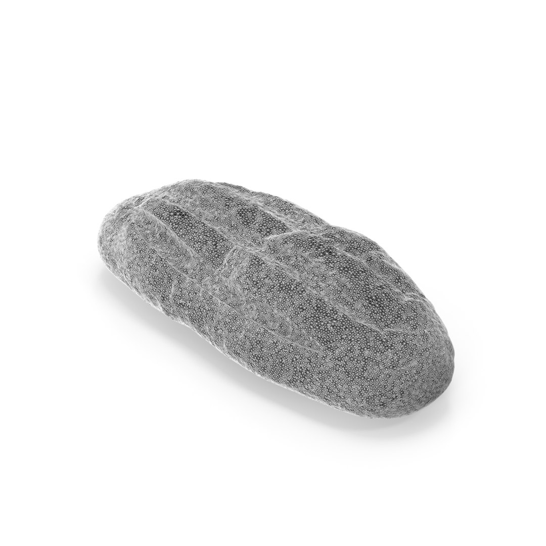 Baugette Bread Model - TurboSquid 2349461
