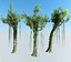 3d model rain forest pack 3