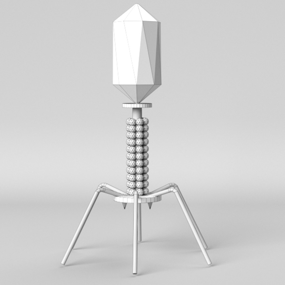 Bacteriophage Modeled 3D Model - TurboSquid 1547645