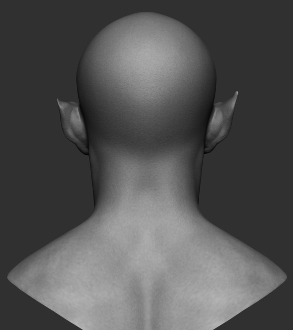 3D Vampire Head Ztl Model - TurboSquid 1212800