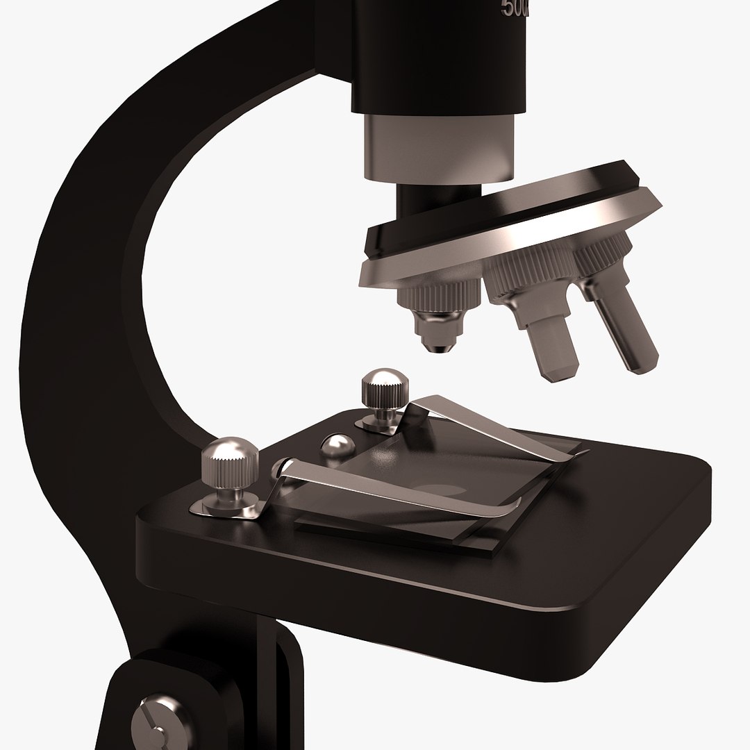 old zuiho microscope 3d max