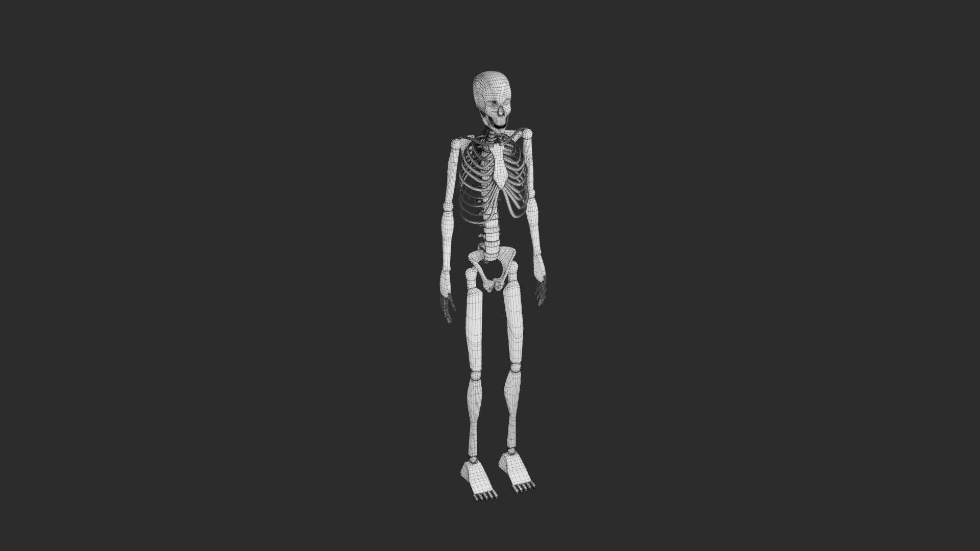 3D Skeleton 3D Model - TurboSquid 2059790