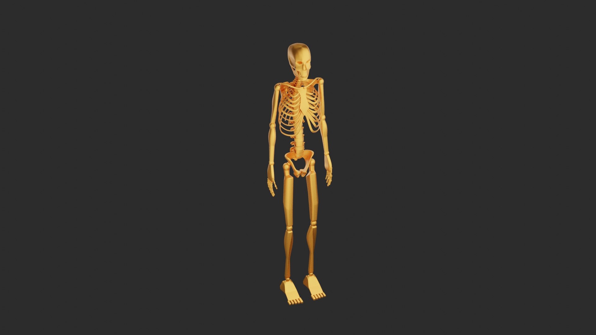 3D Skeleton 3D Model - TurboSquid 2059790