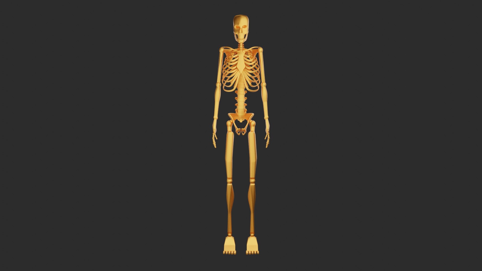 3D Skeleton 3D Model - TurboSquid 2059790