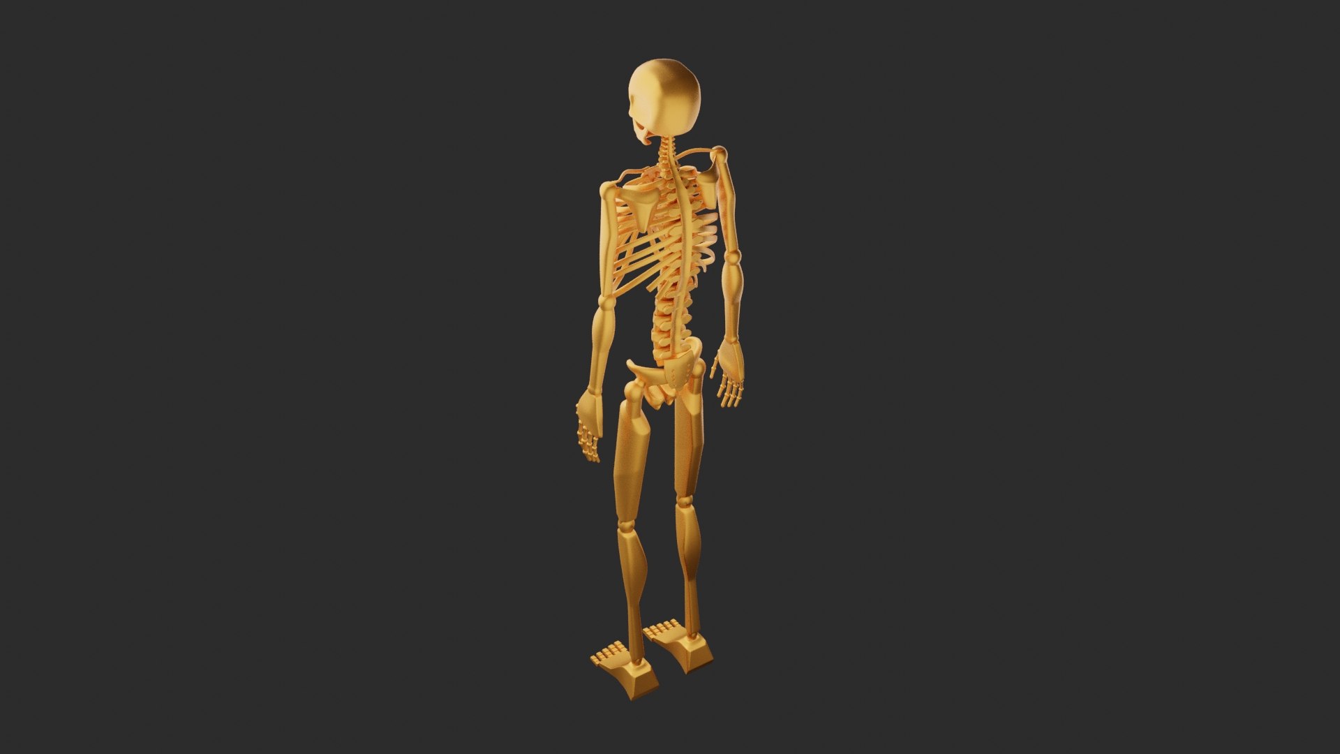 3D Skeleton 3D Model - TurboSquid 2059790