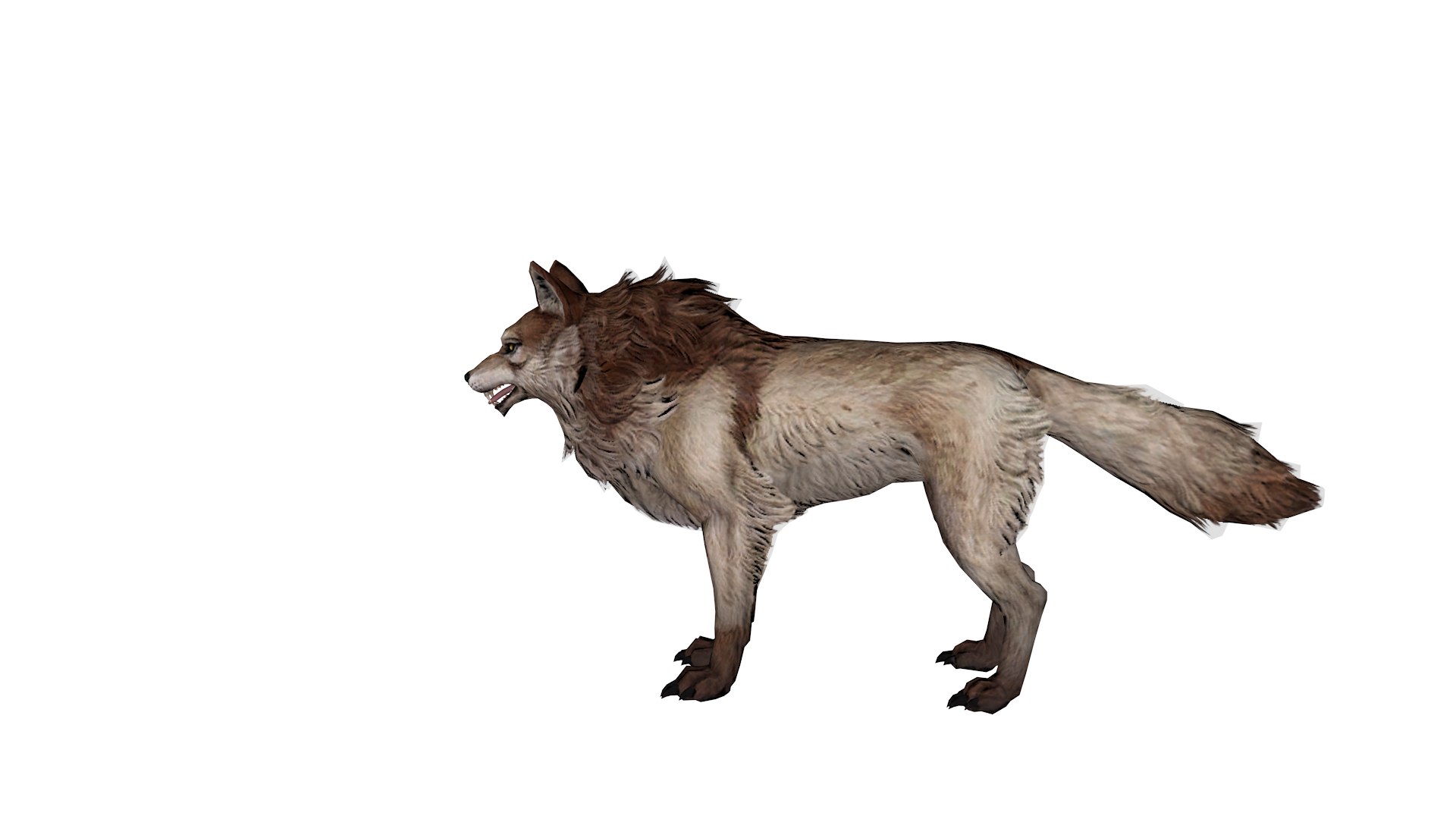 Realistic 3D Wolf Model Game-Ready Rigged 3D - TurboSquid 2365969