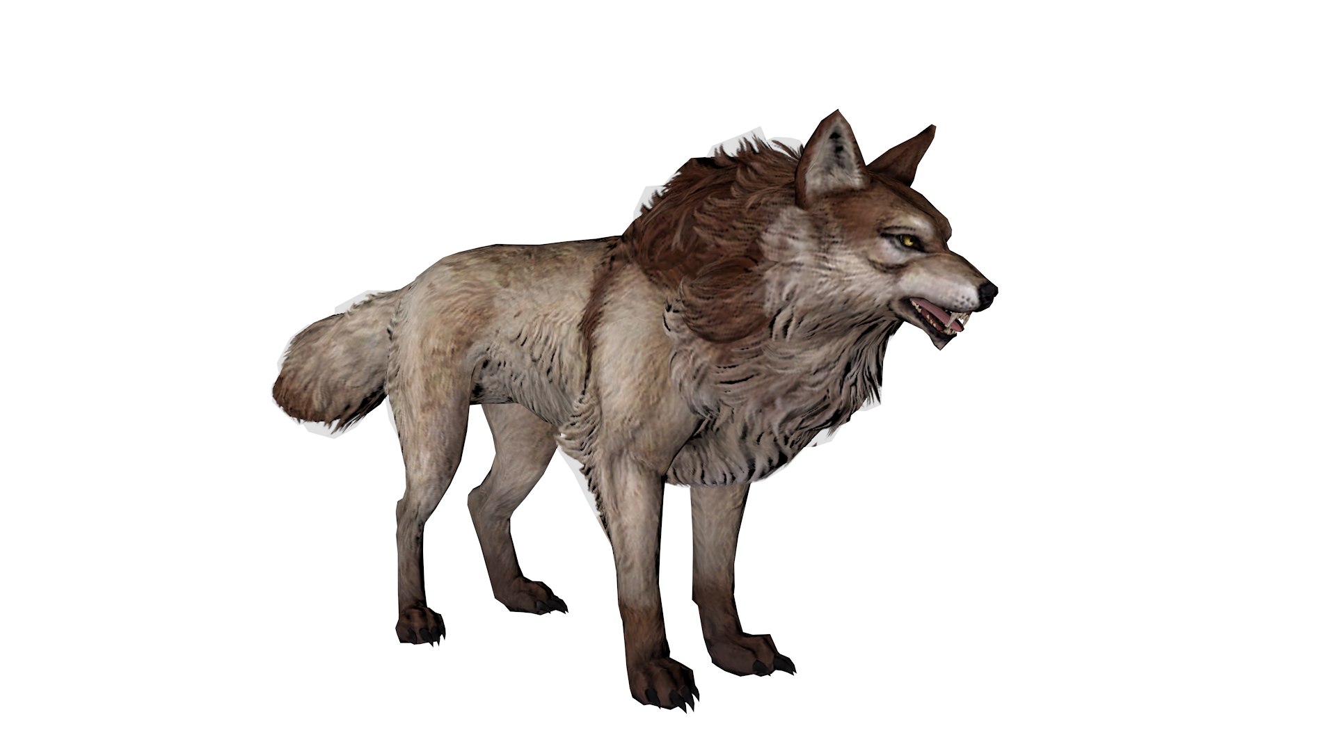 Realistic 3D Wolf Model Game-Ready Rigged 3D - TurboSquid 2365969