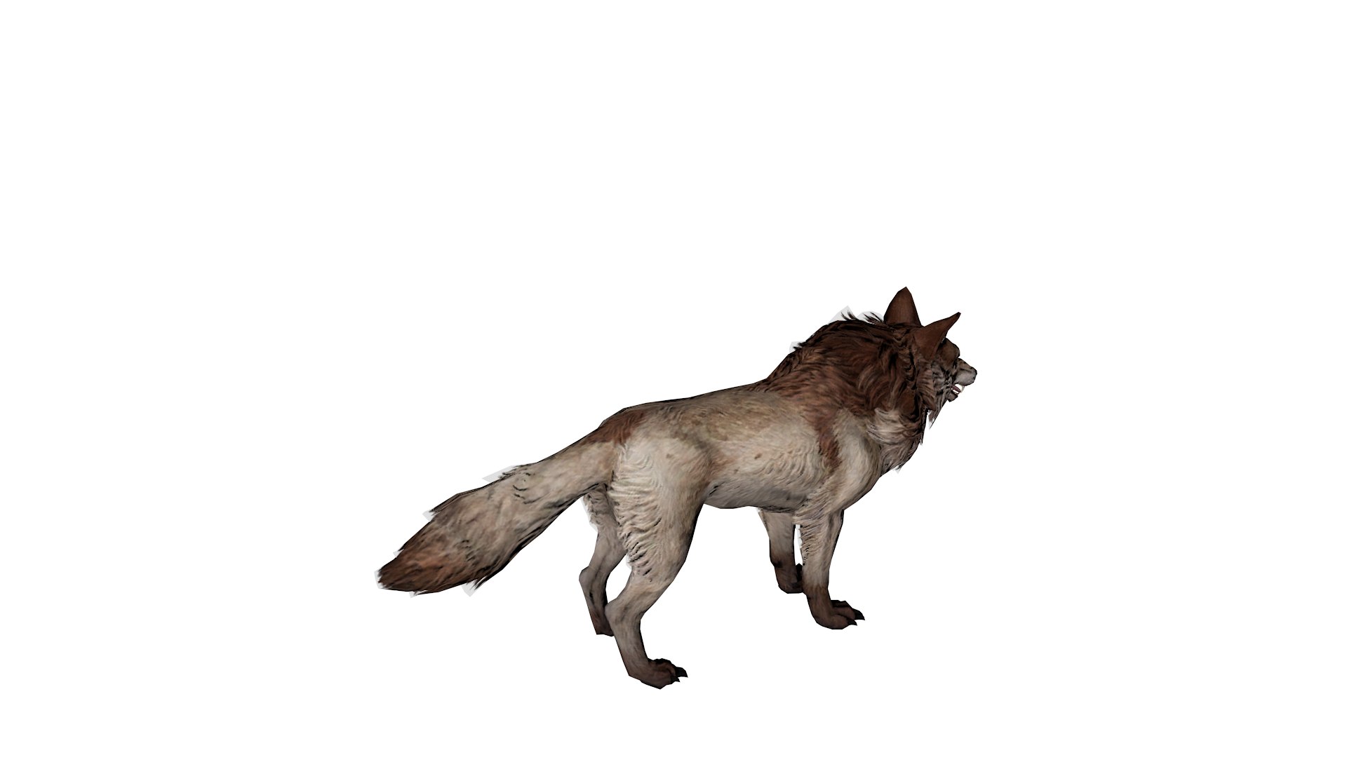 Realistic 3D Wolf Model Game-Ready Rigged 3D - TurboSquid 2365969
