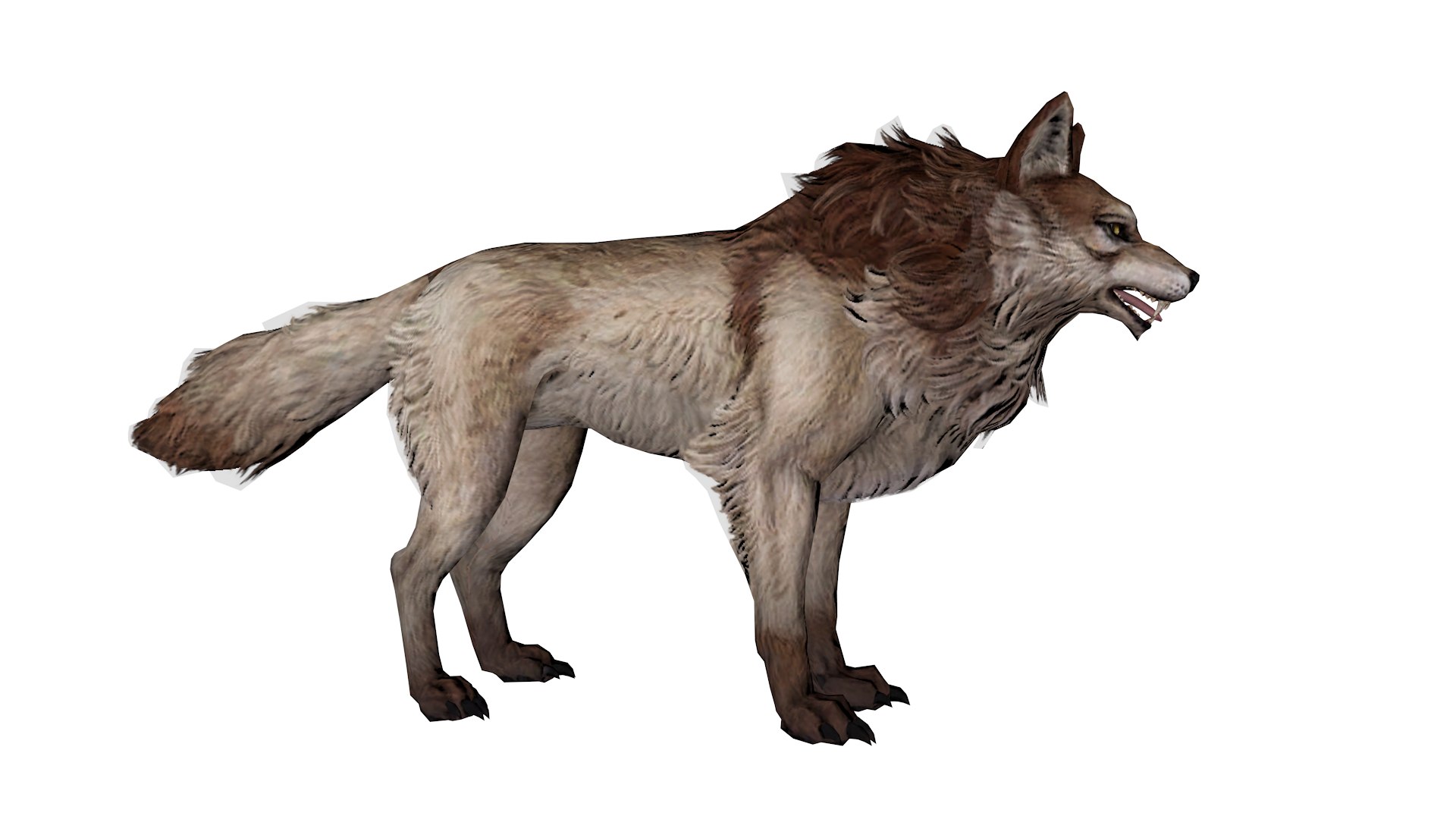 Realistic 3D Wolf Model Game-Ready Rigged 3D - TurboSquid 2365969