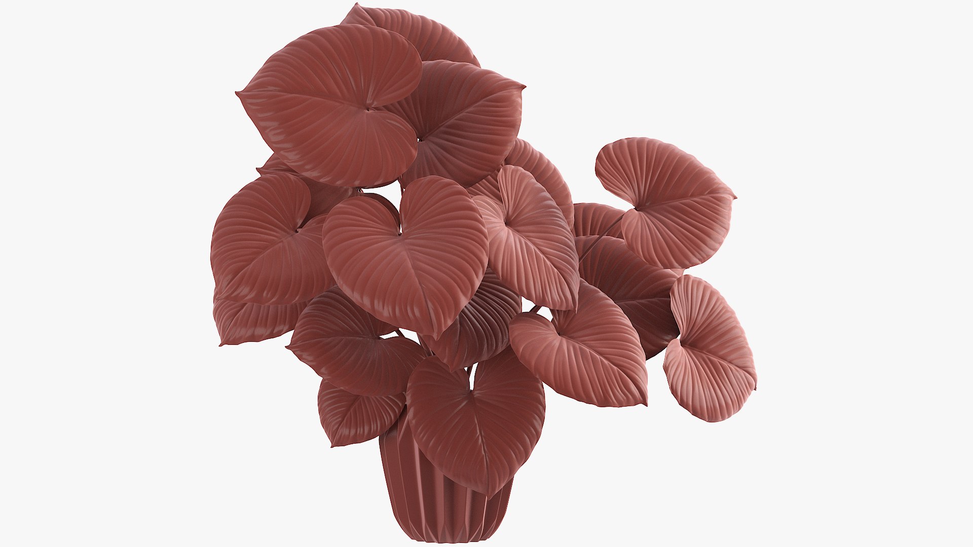 3D Tropical Leaves Model - TurboSquid 1219150