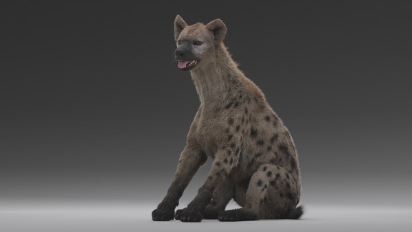 3D model hyena rigged - TurboSquid 1408399