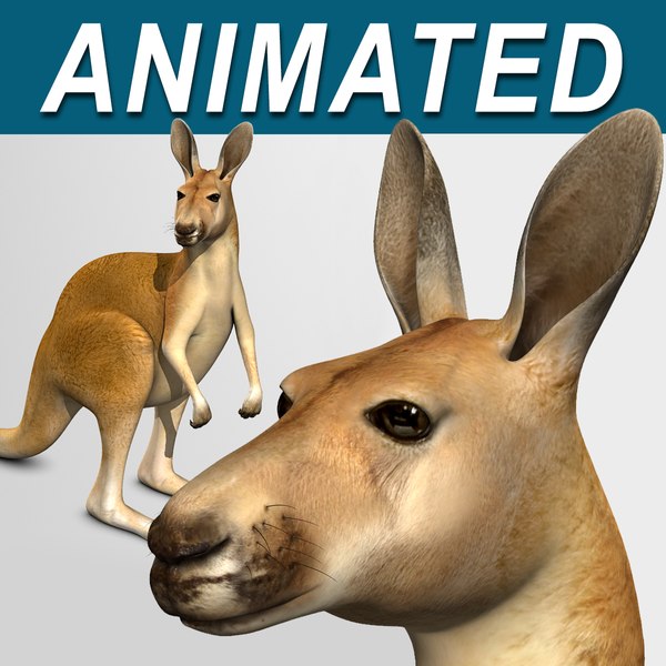 Low Poly 3D Kangaroo Models | TurboSquid
