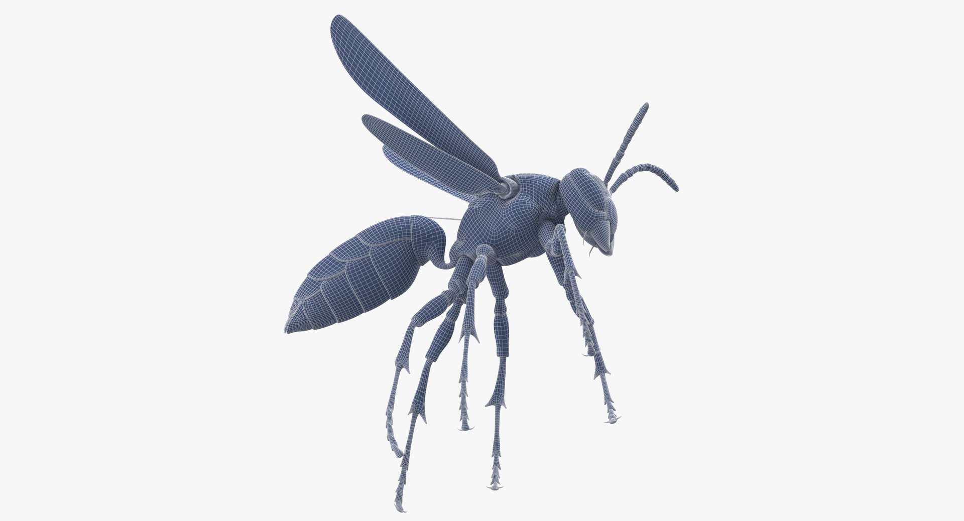 3D Model Paper Wasp Poses - TurboSquid 1399526