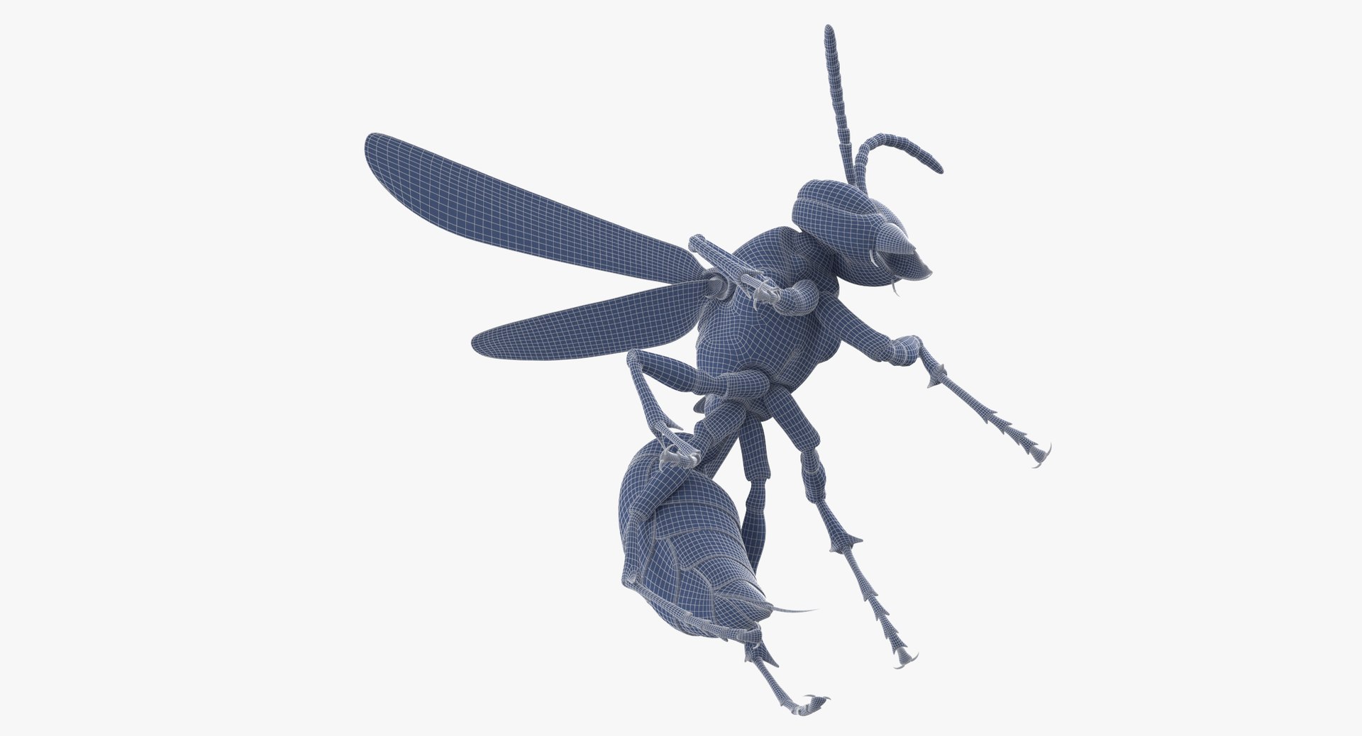 3D Model Paper Wasp Poses - TurboSquid 1399526