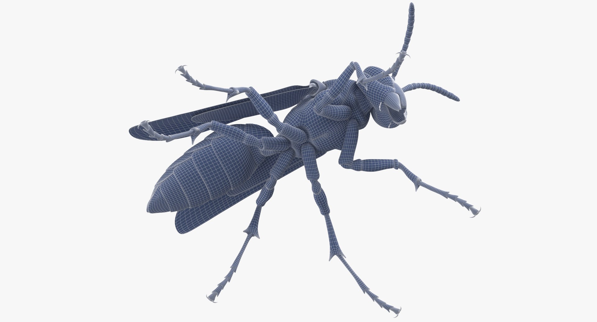 3D Model Paper Wasp Poses - TurboSquid 1399526