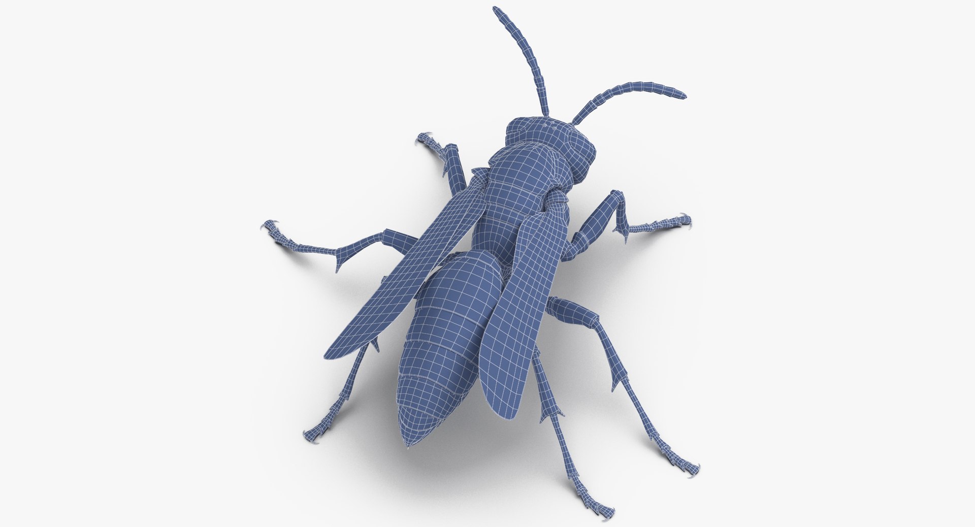 3D Model Paper Wasp Poses - TurboSquid 1399526