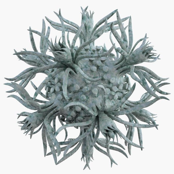 micro object mht 3d model