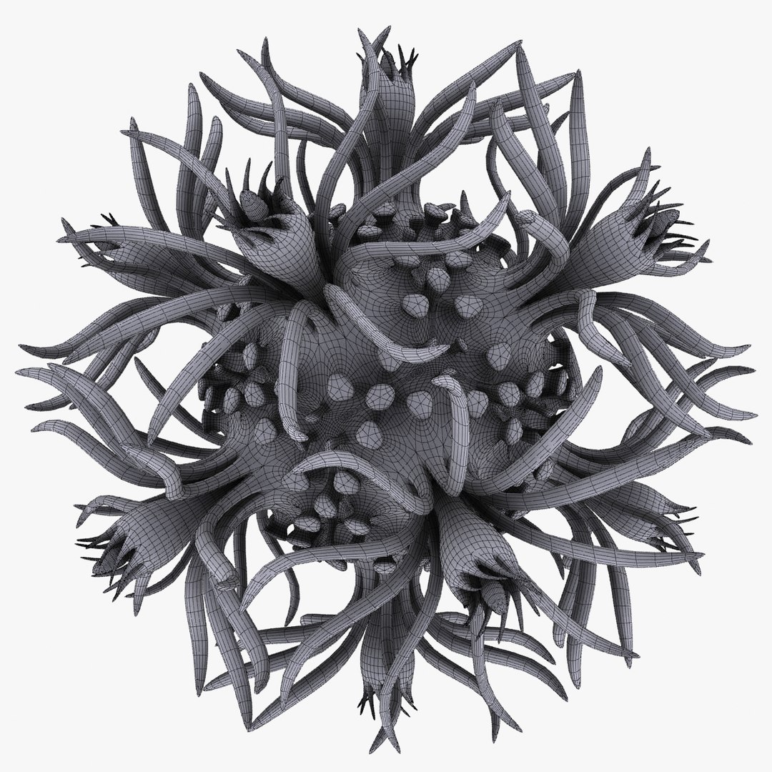 Micro Object Mht 3d Obj