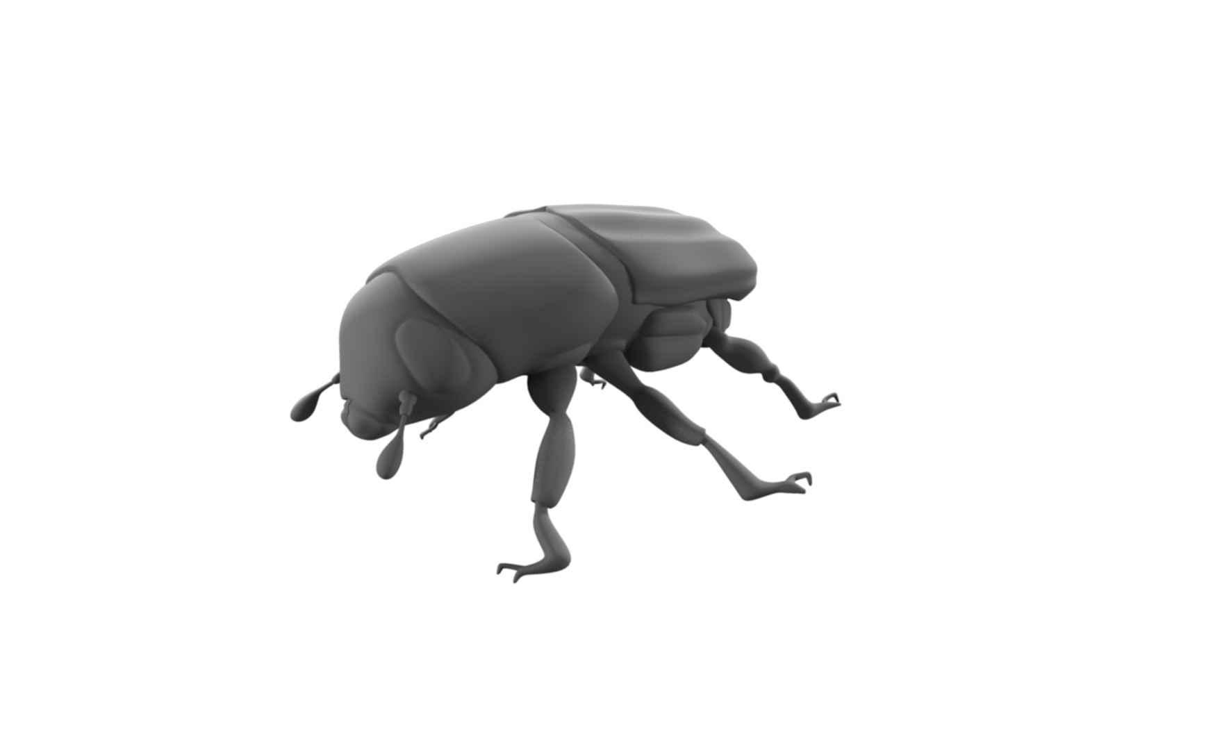 3d Pine Beetle Model