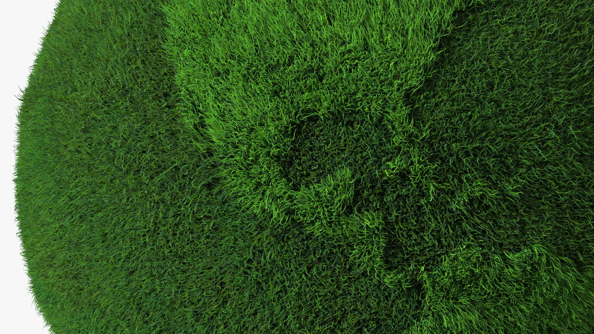 3D Grass Stylized Earth Globe Fur - TurboSquid 2184586