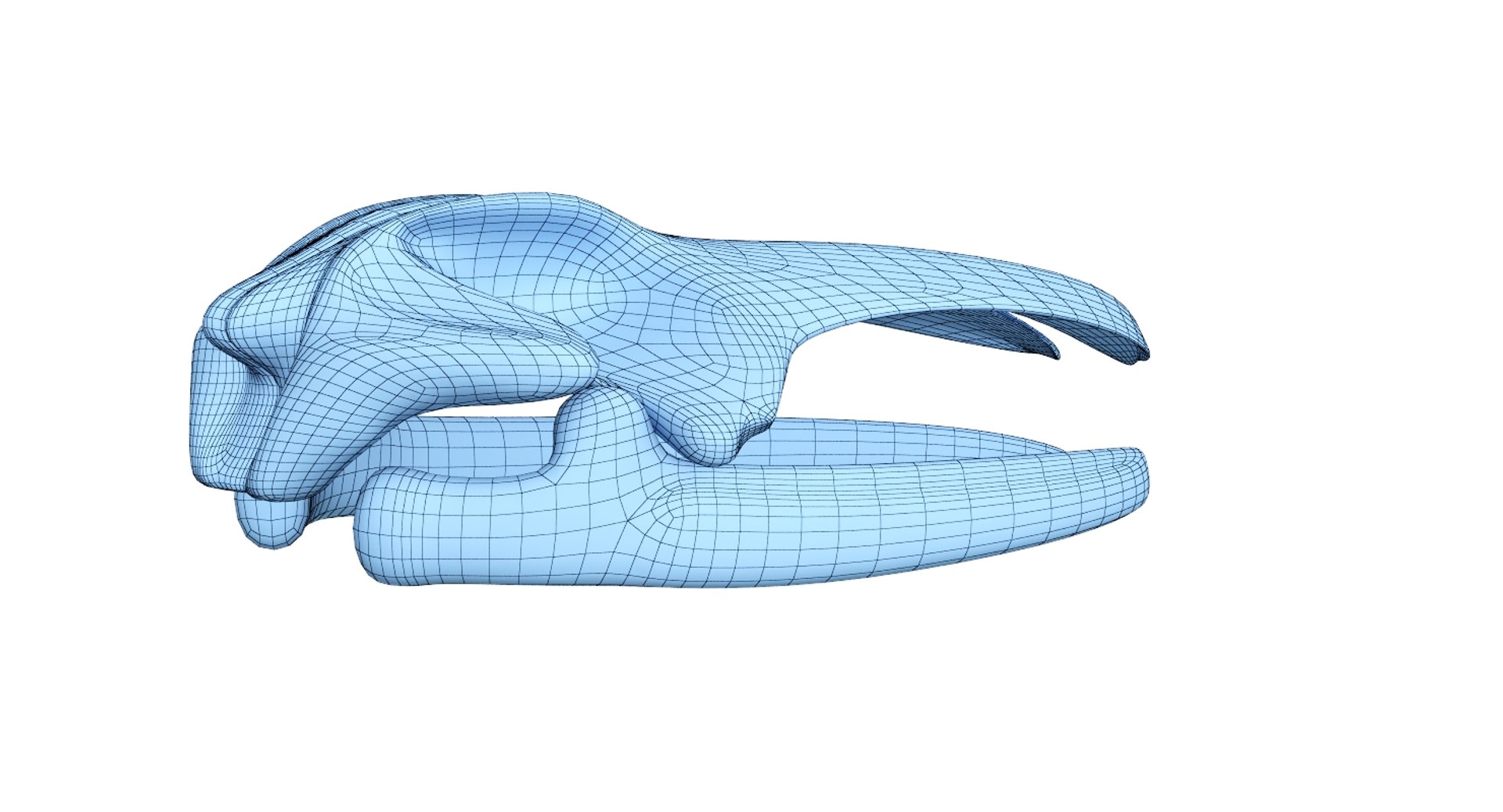 Blue Skull Whale 3D Model - TurboSquid 1348711