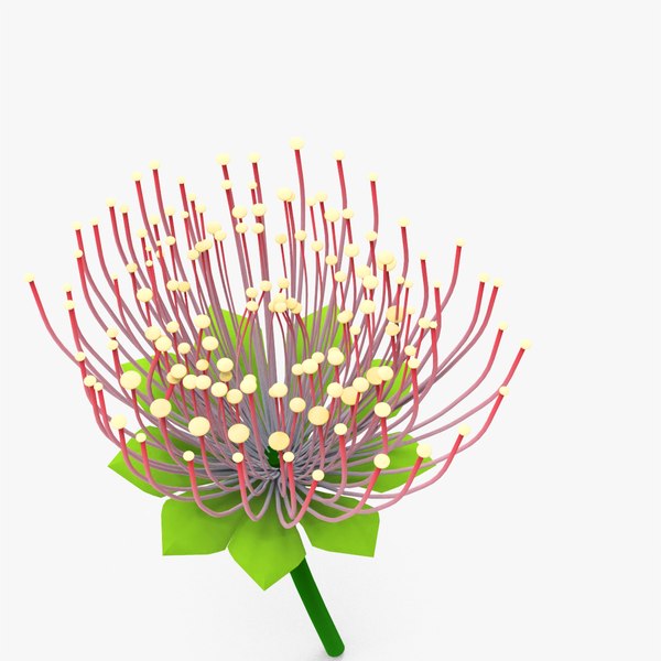 modelo 3d Ramo de mimosas - TurboSquid 1852164