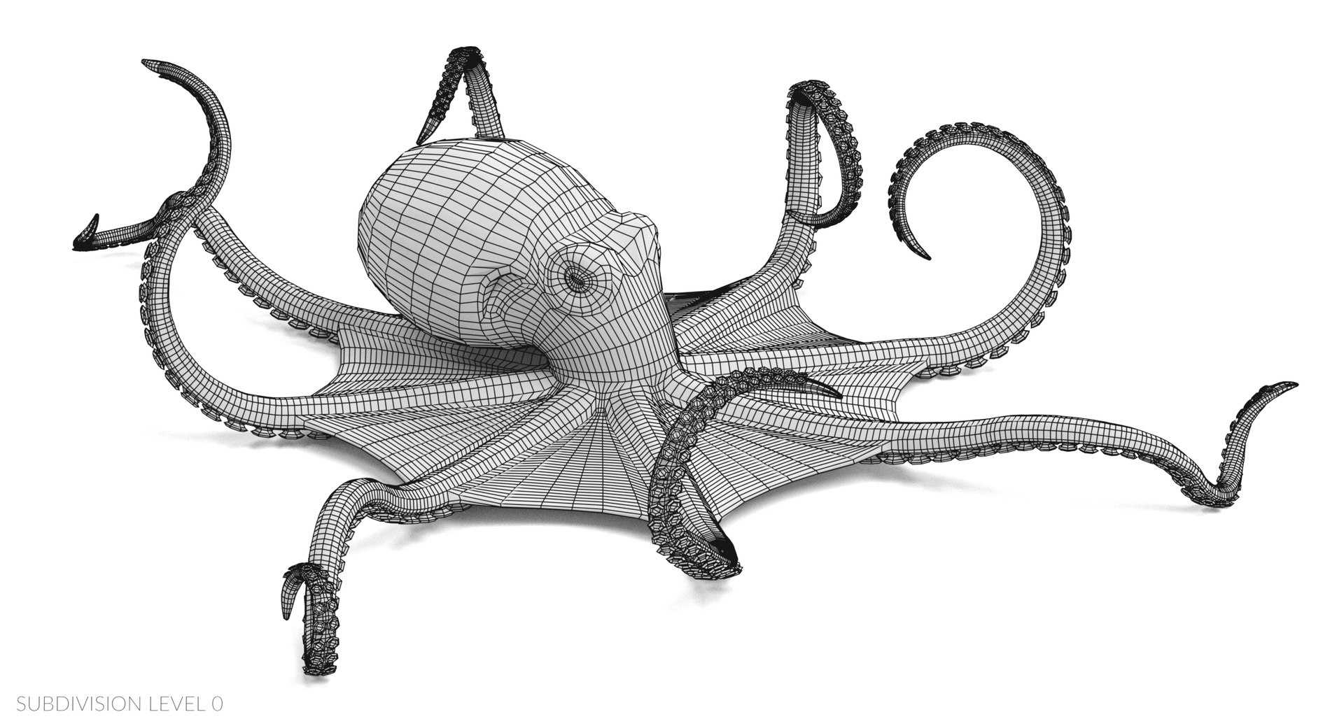 Giant Pacific Octopus 3D Model - TurboSquid 1362451