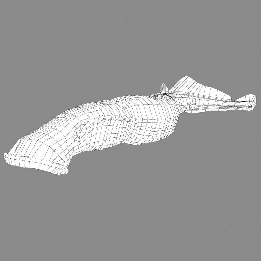Sea Lamprey Model - TurboSquid 1155147