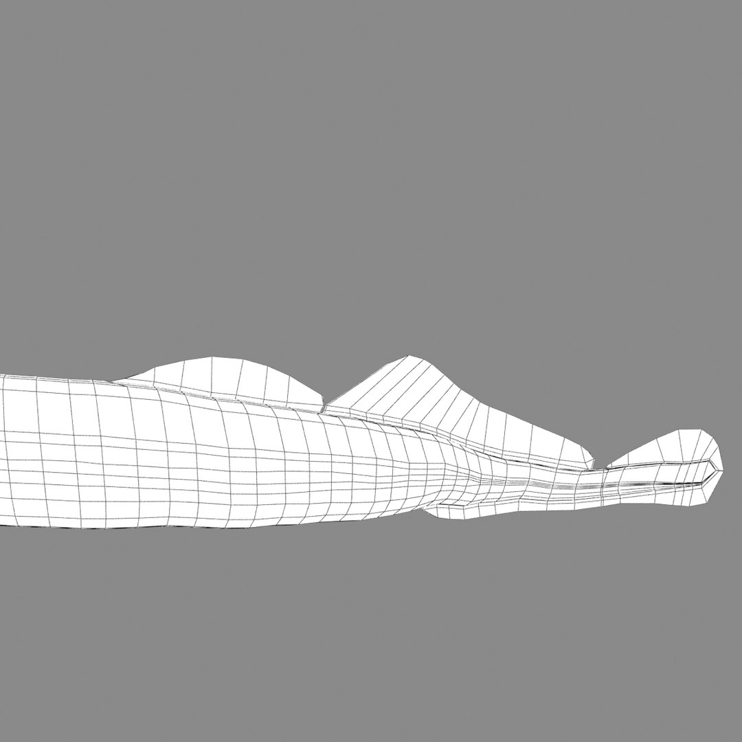 Sea Lamprey Model - TurboSquid 1155147