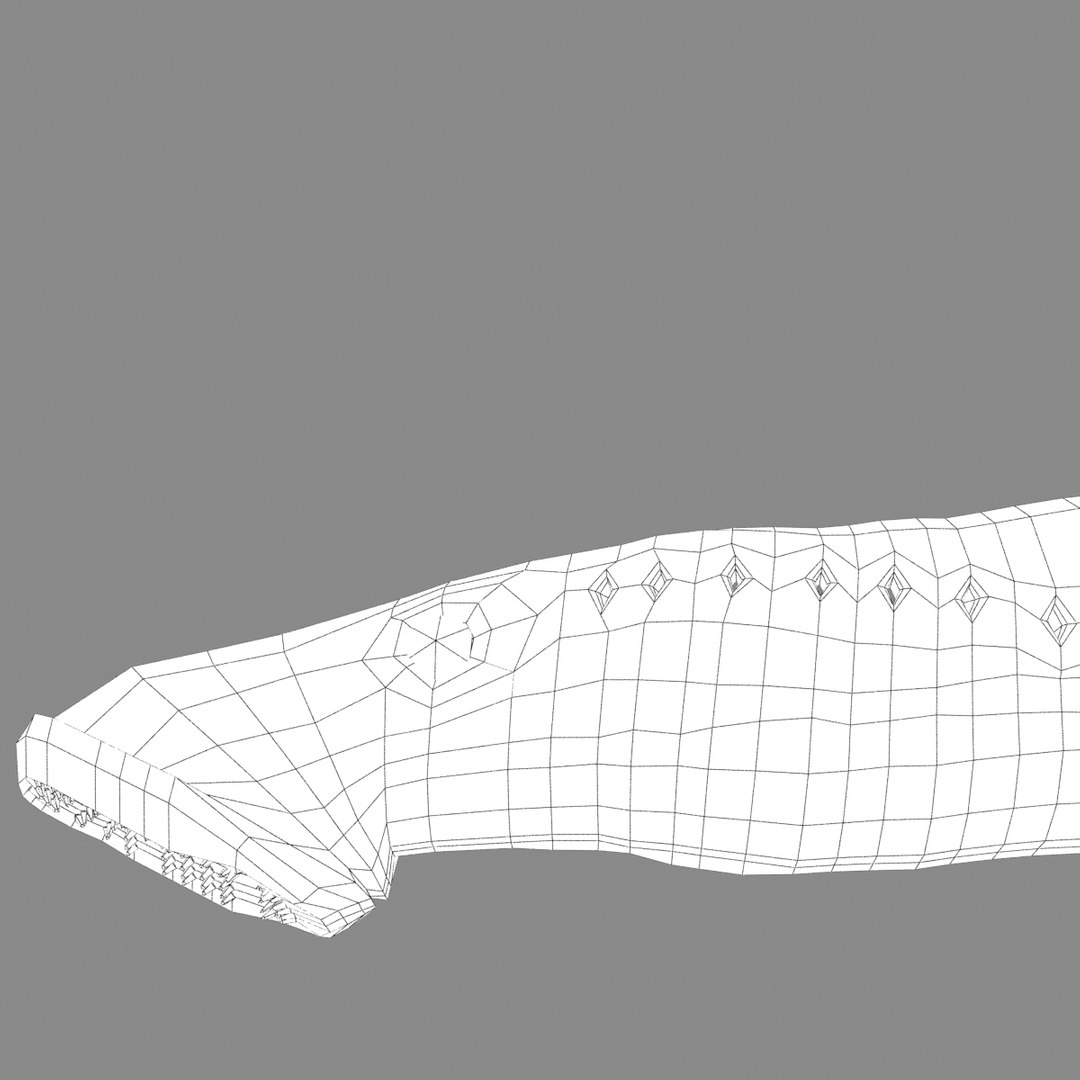 Sea Lamprey Model - TurboSquid 1155147