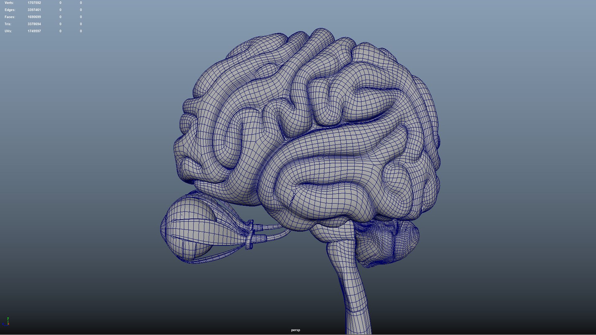 Brain With Eyes 3D Model - TurboSquid 2190177
