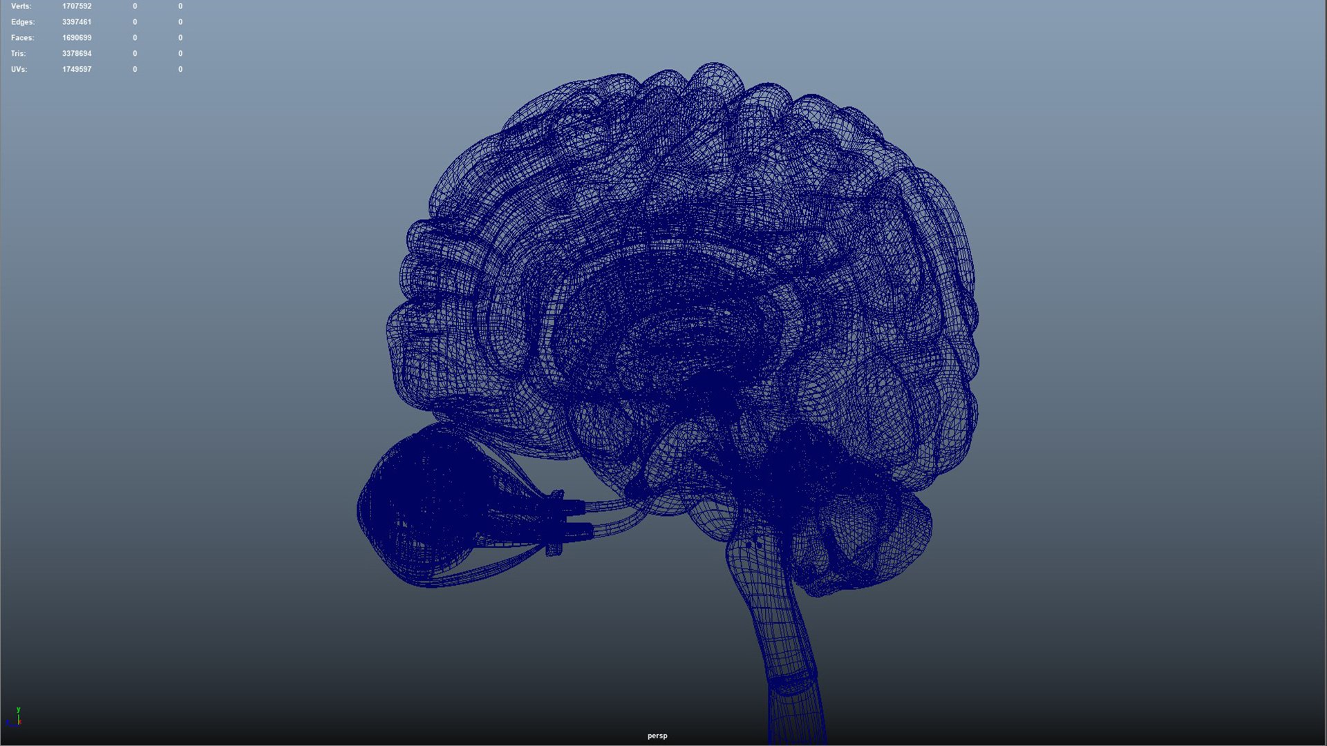 Brain With Eyes 3D Model - TurboSquid 2190177
