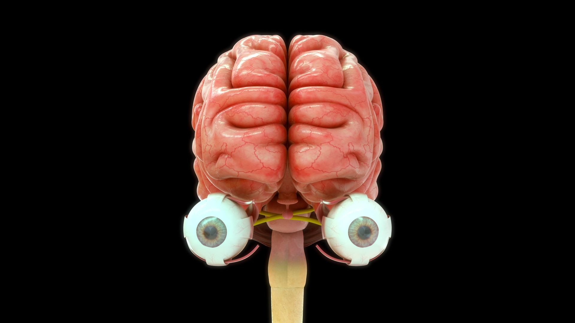 Brain With Eyes 3D Model - TurboSquid 2190177