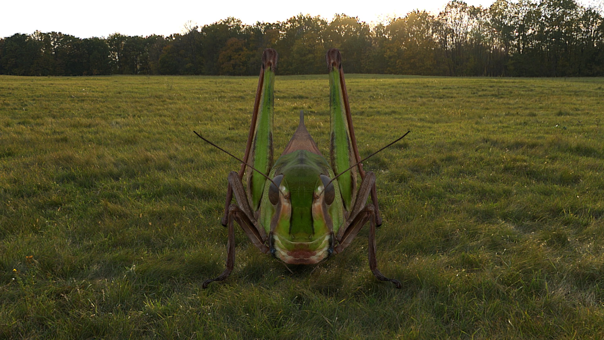 Rigged Migratory Locust 3D - TurboSquid 2009833