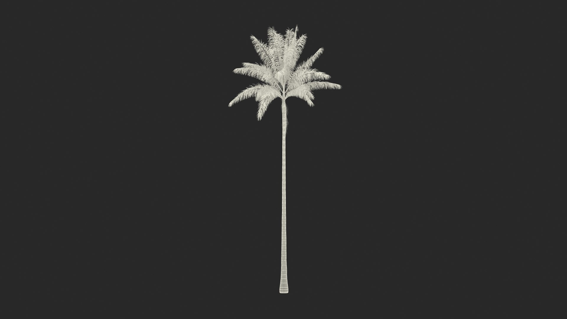 3D Florida Royal Palm Roystonea Model - TurboSquid 1485288