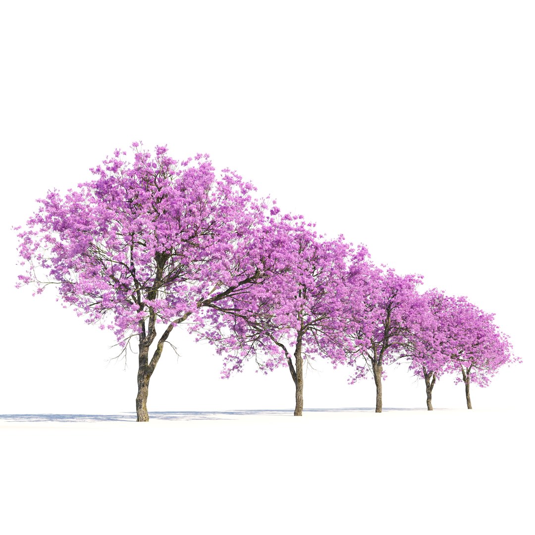 Pink Trumpet Tree 02 3D - TurboSquid 2418771
