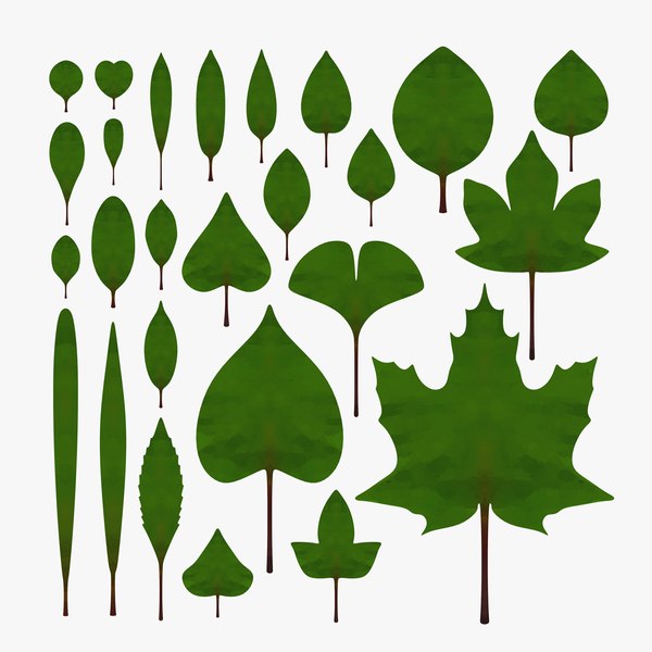 3D leaves - TurboSquid 1973374