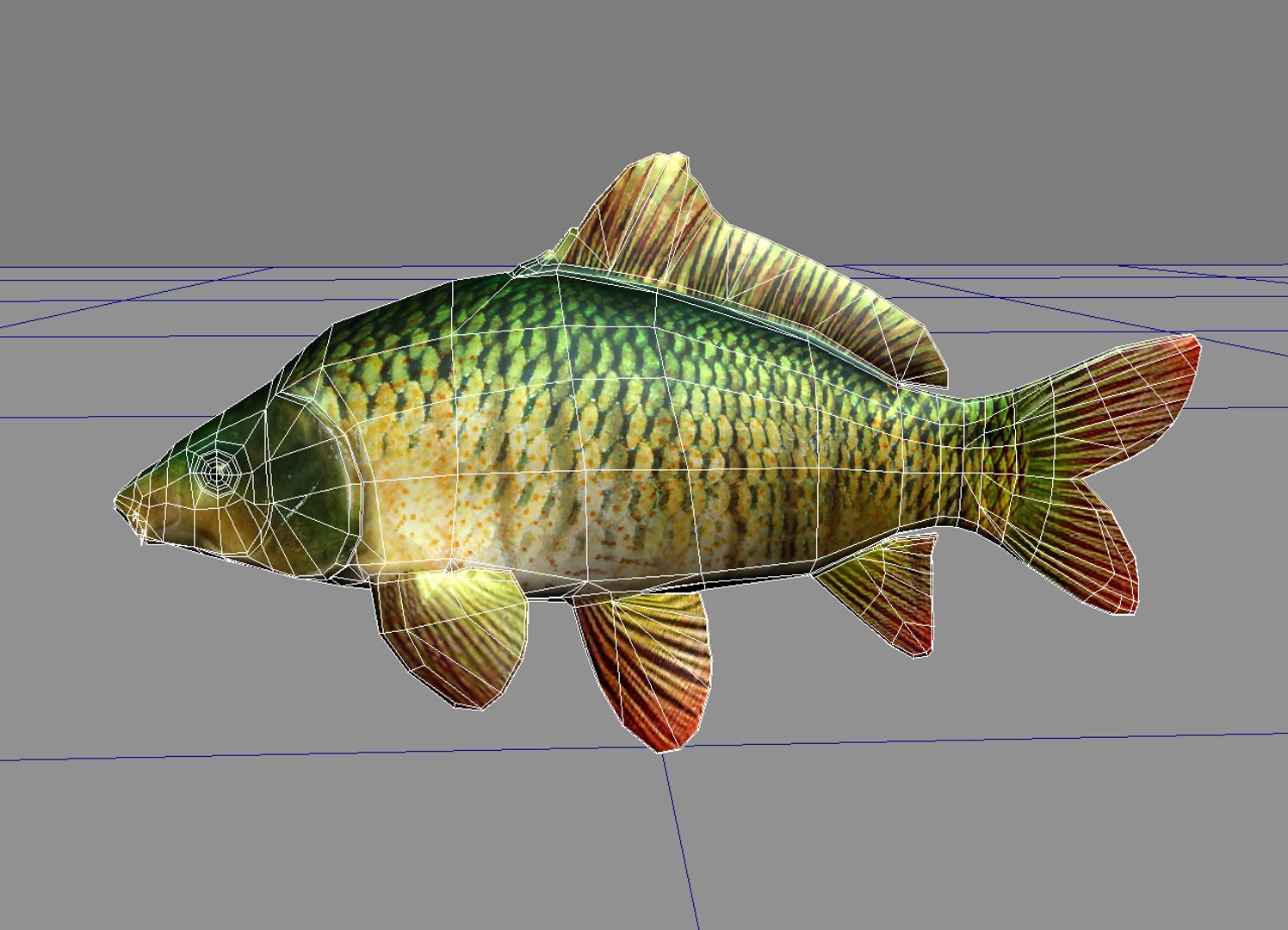 3d Model Carp