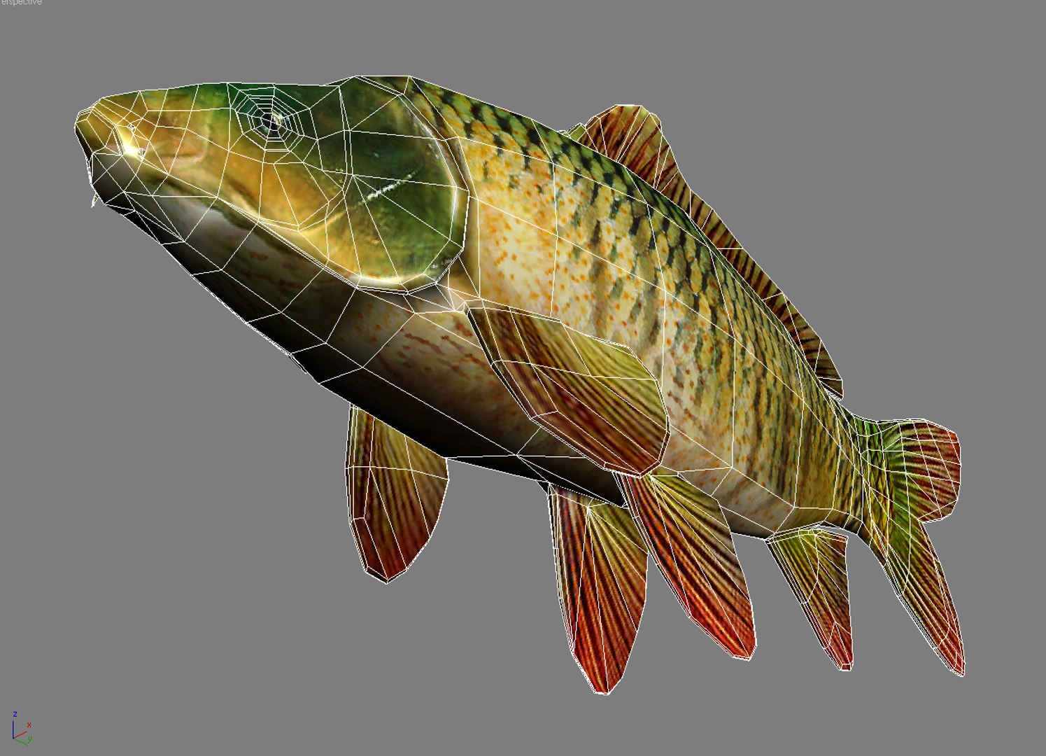 3d Model Carp