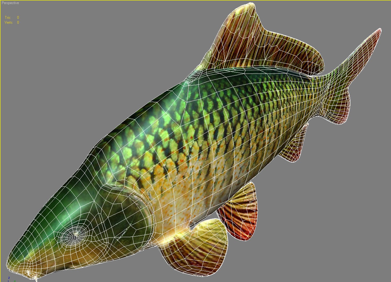 3d Model Carp