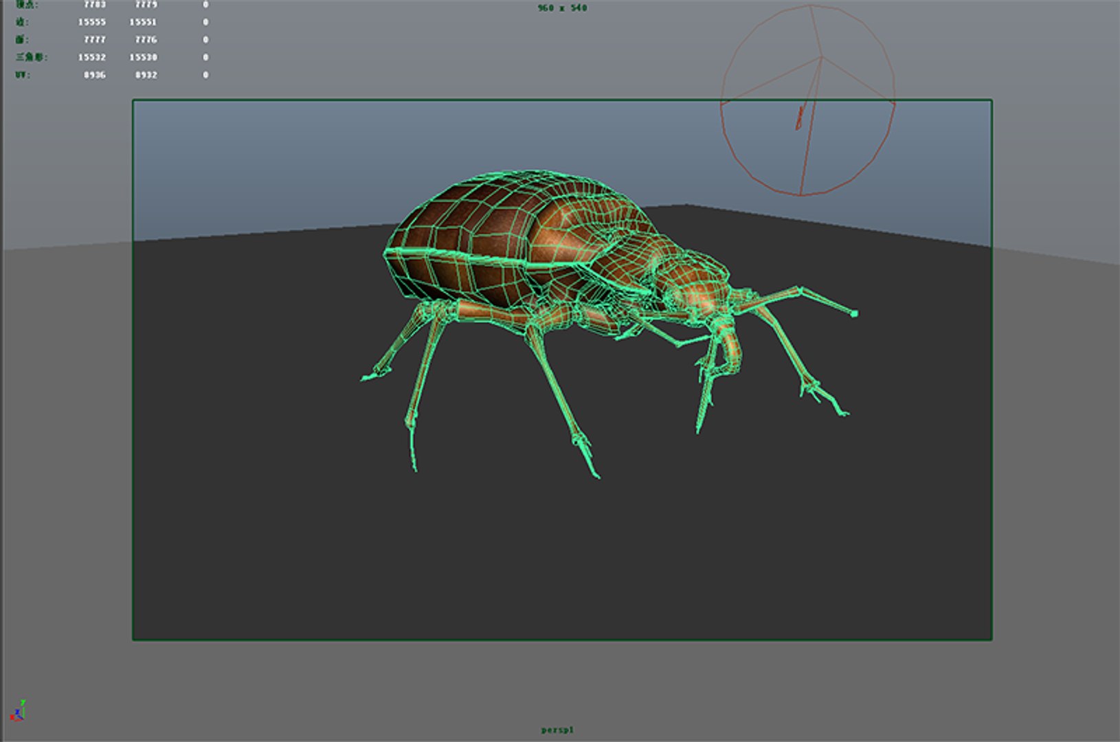 Cimicidae Bedbug 3D Model - TurboSquid 1313863