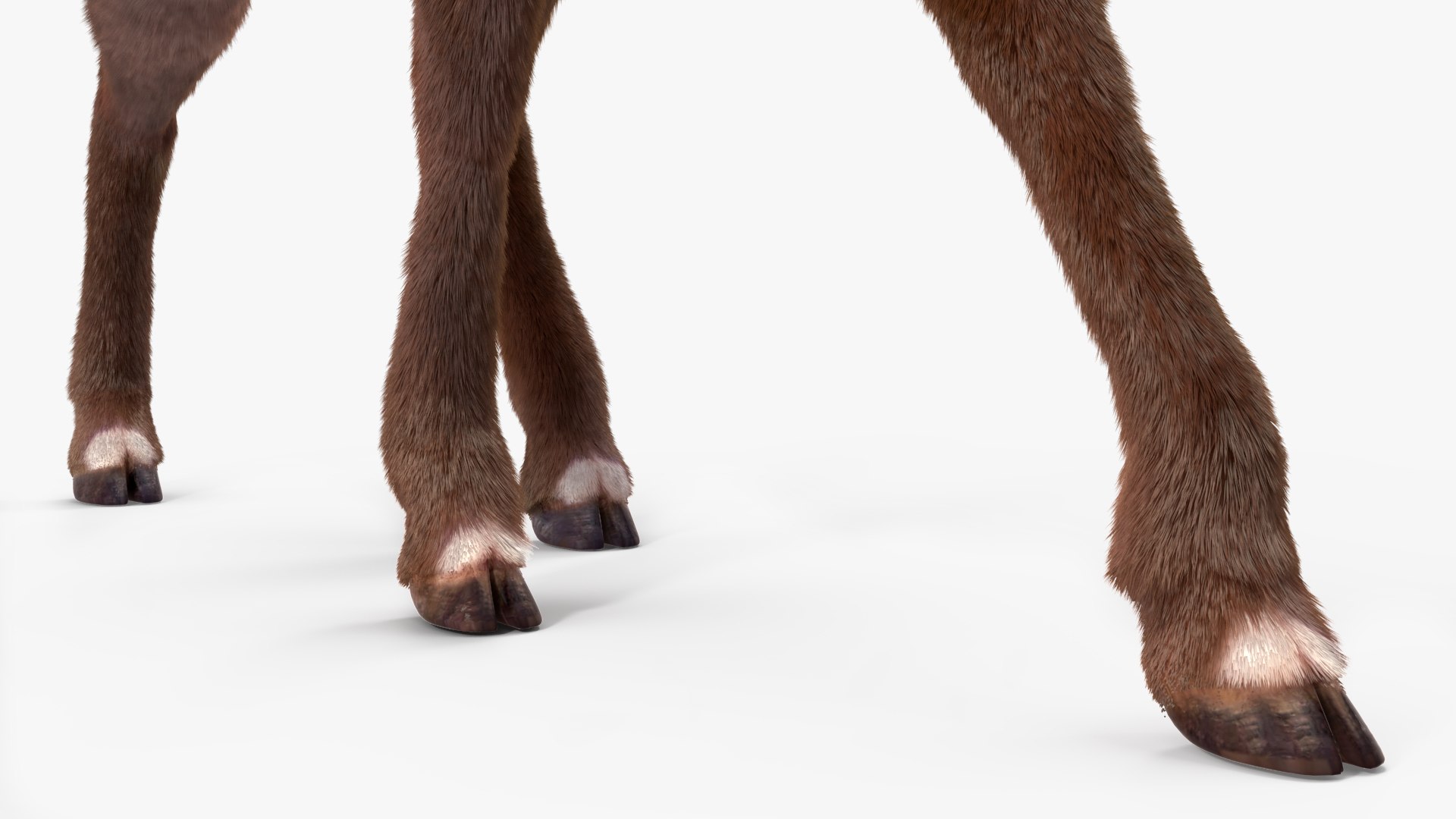 3D Saola Walking Pose Fur Model - TurboSquid 2202816