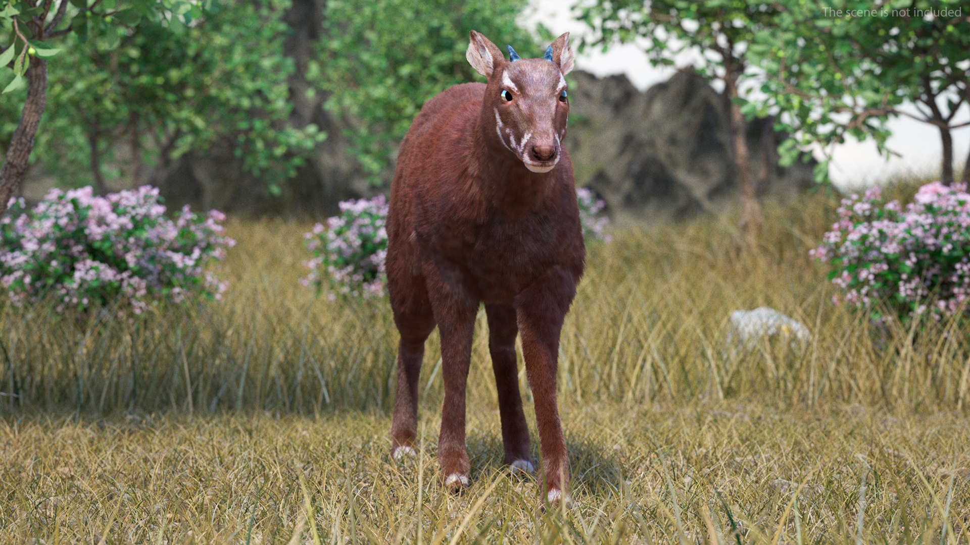 3D Saola Walking Pose Fur Model - TurboSquid 2202816