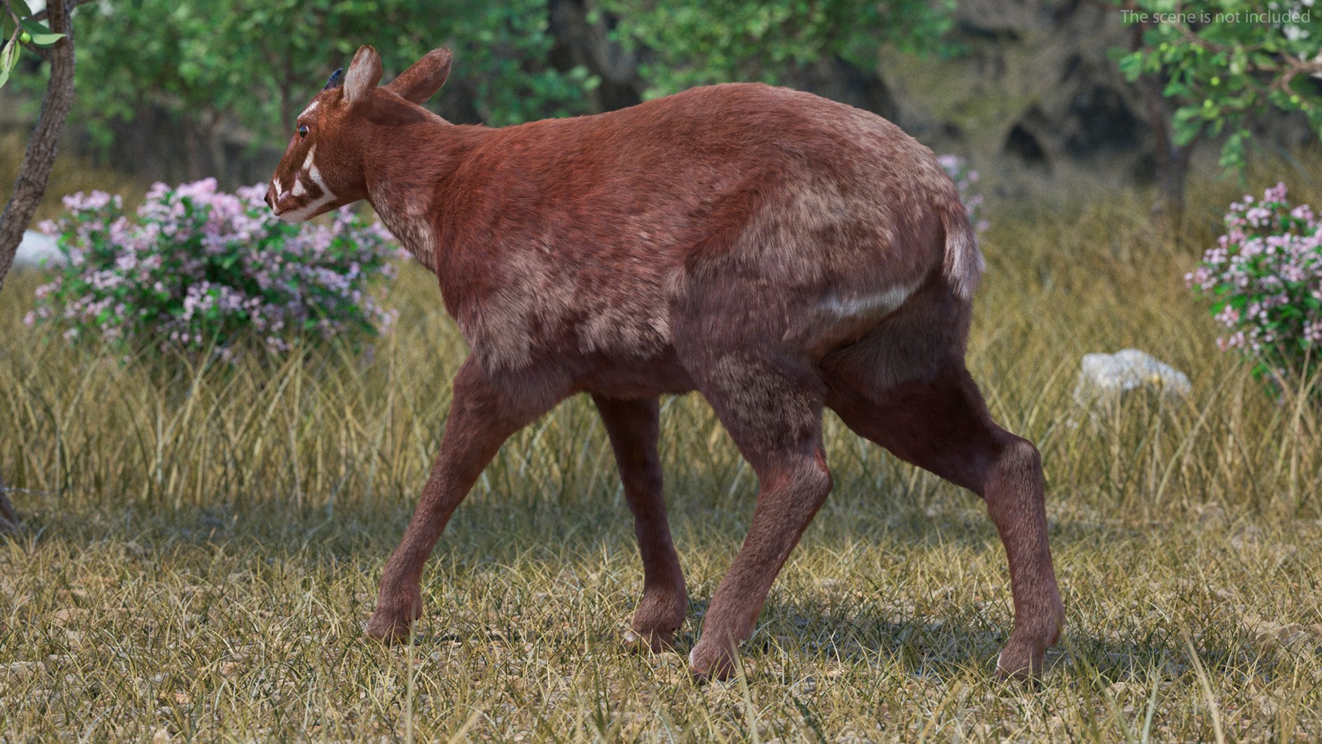 3D Saola Walking Pose Fur Model - TurboSquid 2202816