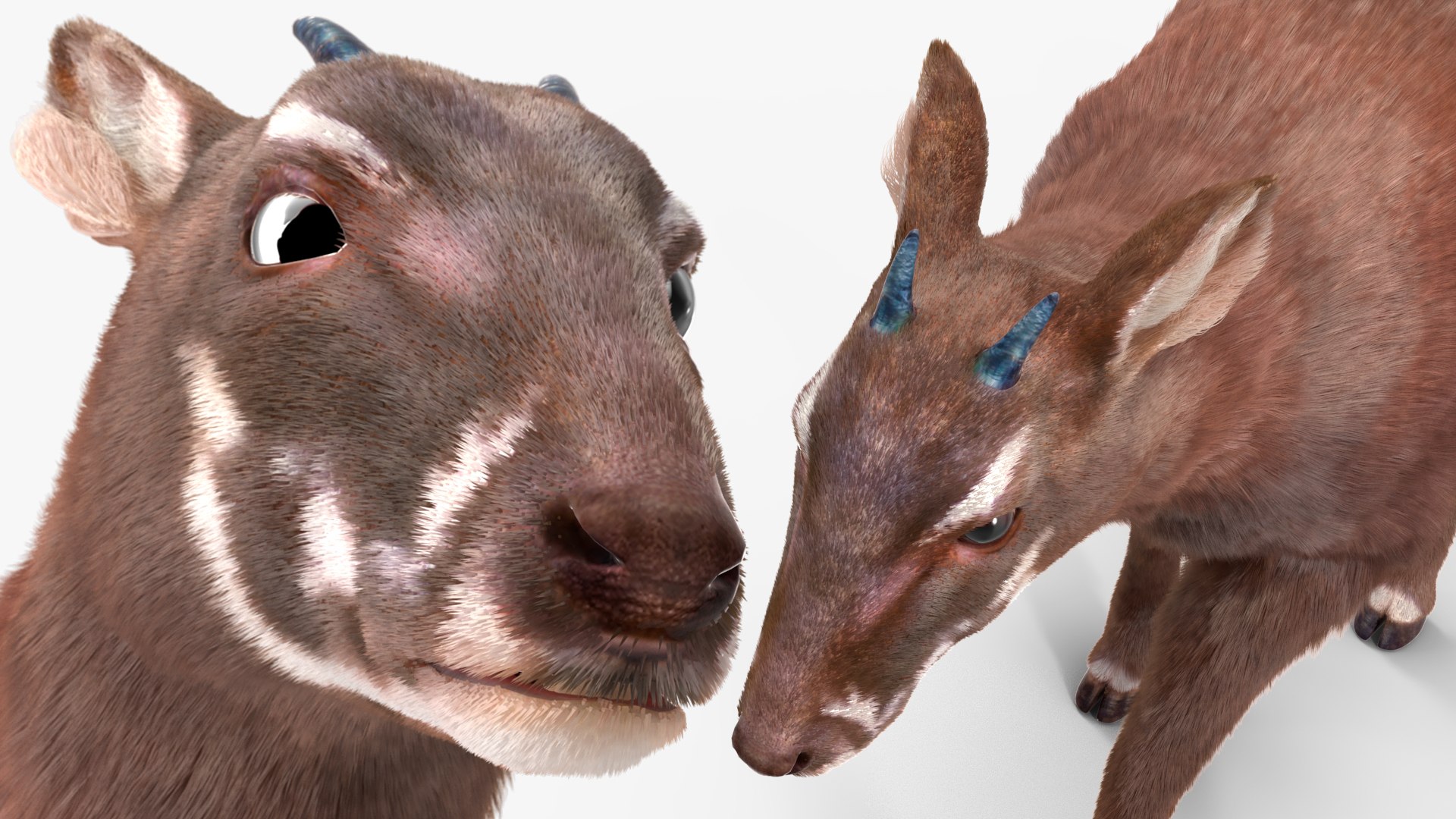 3D Saola Walking Pose Fur Model - TurboSquid 2202816