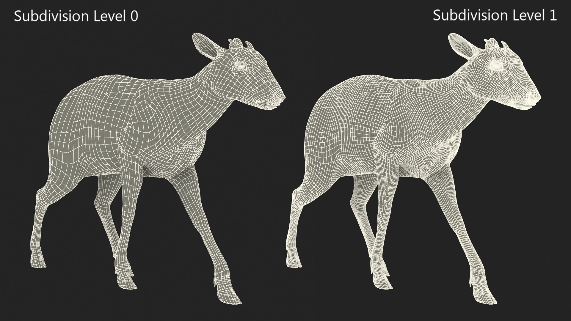 3D Saola Walking Pose Fur Model - TurboSquid 2202816