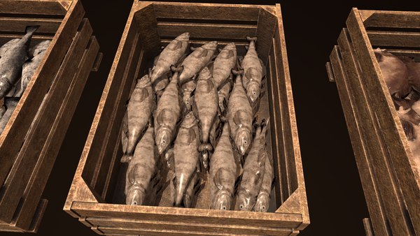 Fish market 3D model - TurboSquid 1746373