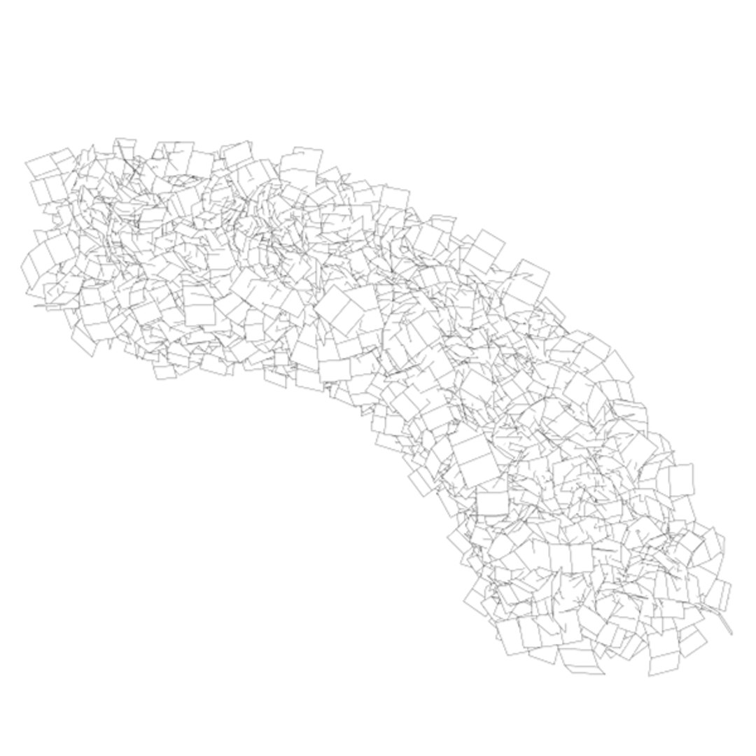 3d model curved copper beech hedge